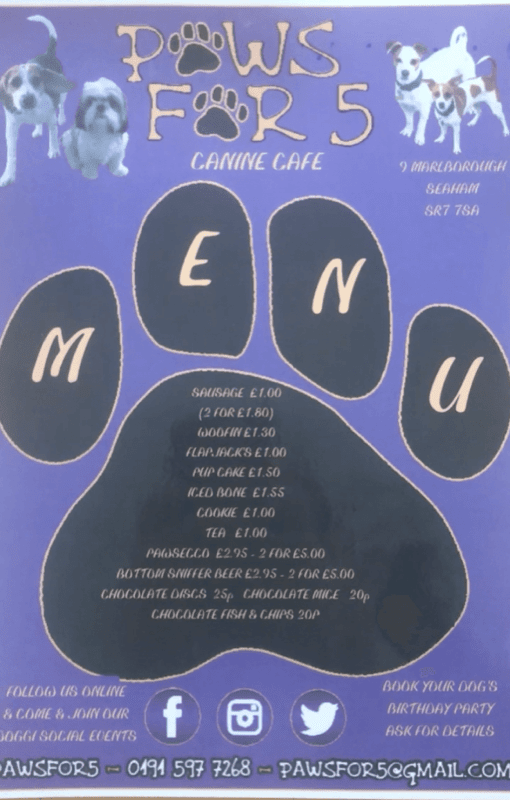 “Paws for 5” for canine coffee and cake – SR News