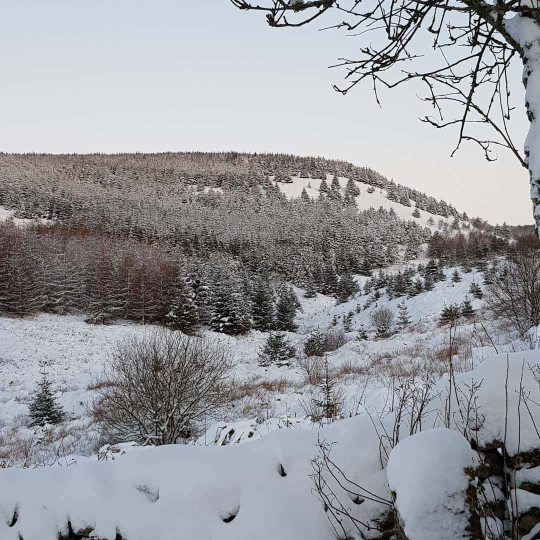 The 11 hidden gems of the North East – SR News