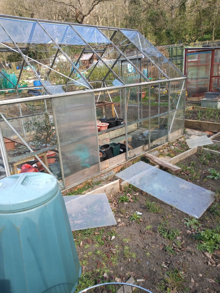 Newcastle allotment holders devastated after greenhouses smashed and ...